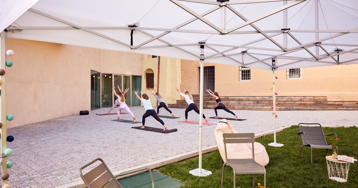 Professional Canopy Tent: stable, durable and warranted